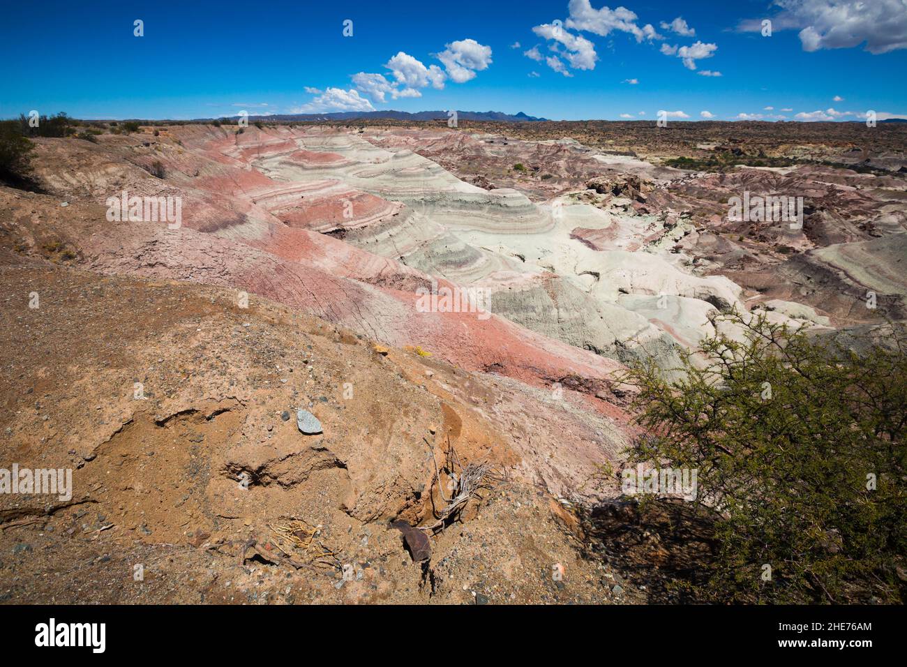 Stony landscape in Ischigualasto Provincial Park Stock Photo - Alamy
