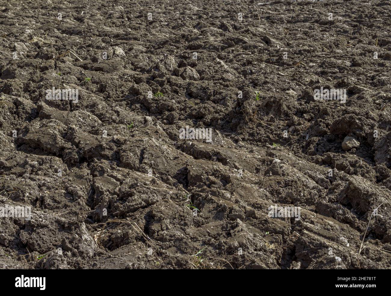 Plowed field in spring Stock Photo - Alamy