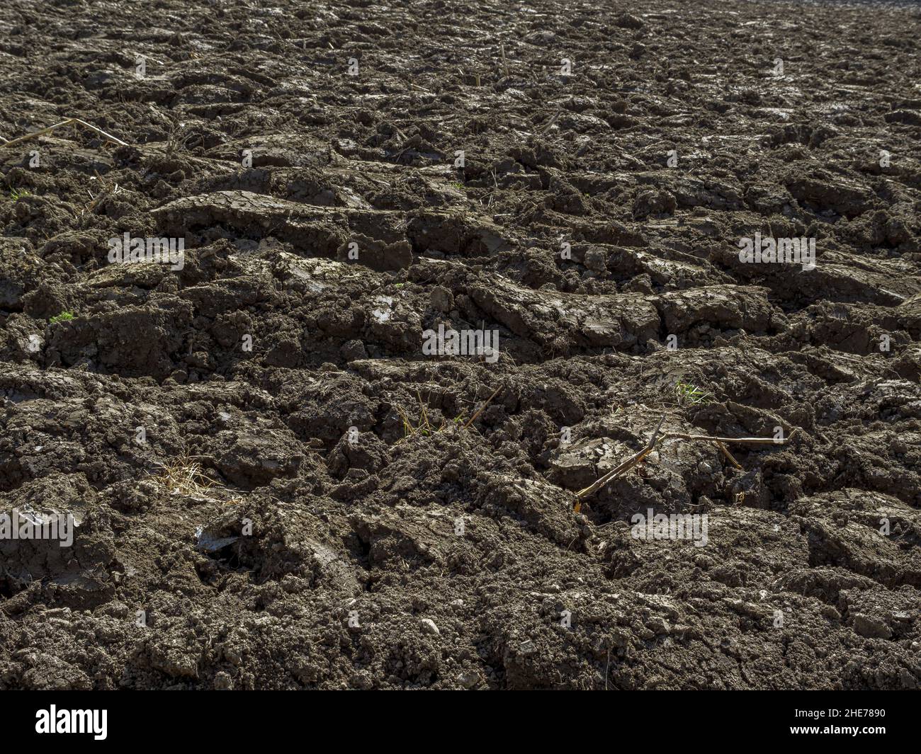 Plowed field in spring Stock Photo - Alamy