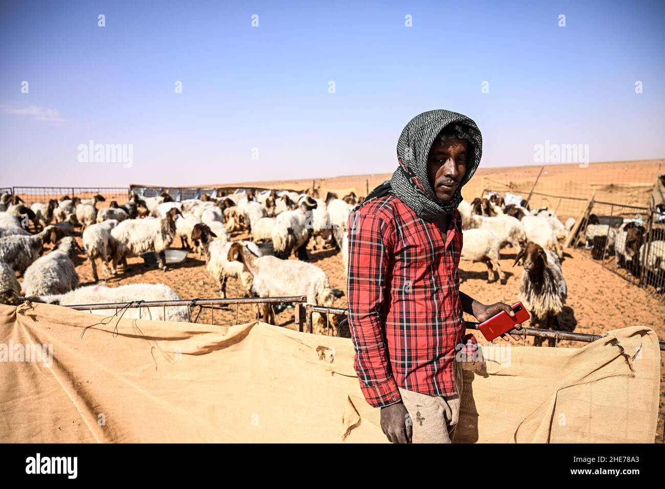 Ambience during the Stage 7 of the Dakar Rally 2022 between Riyadh and ...