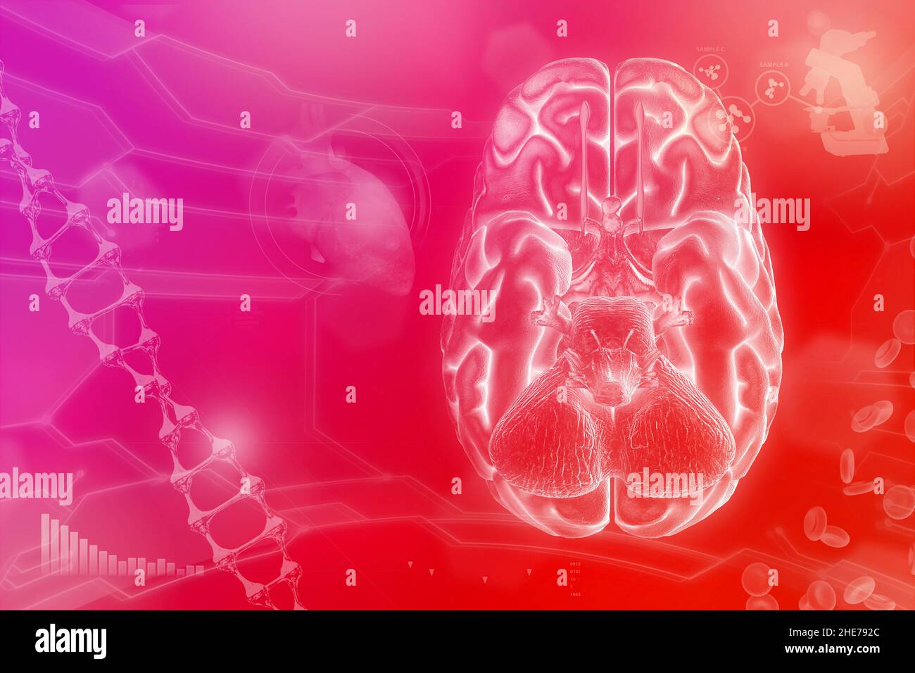 Medical 3D illustration - human brain, nervous research concept - very ...
