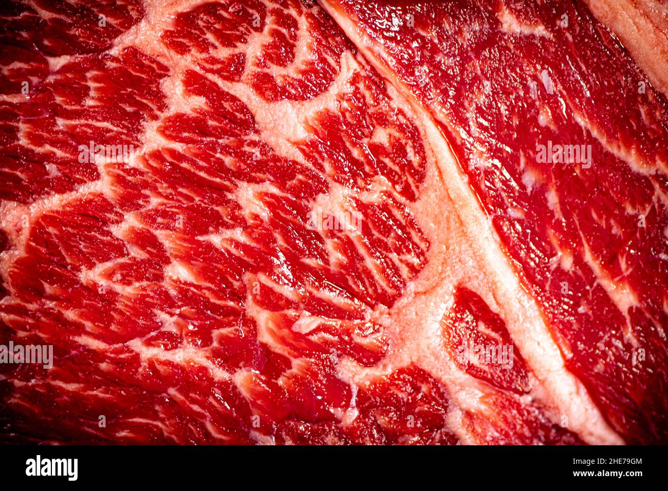 Beef Texture