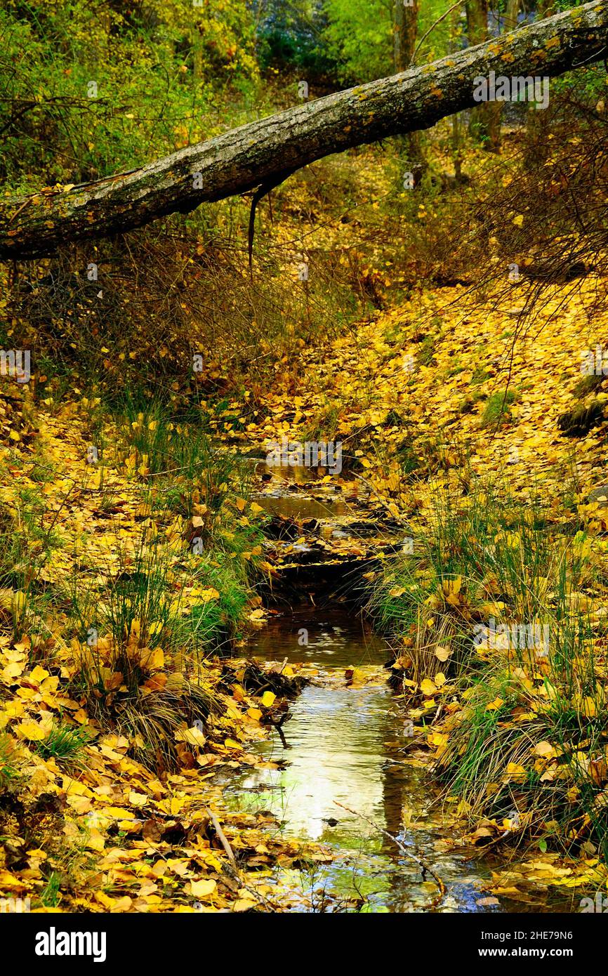 Valley of the river Gor, by the Juntas de Gor, Granada Stock Photo - Alamy