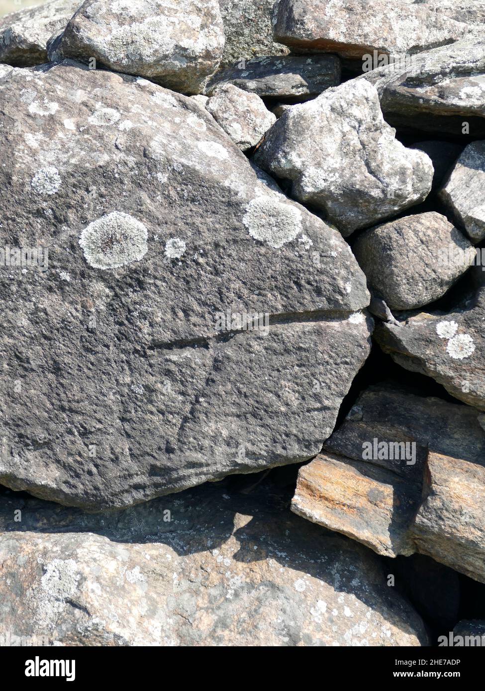 Close Up Photograph of Gray Rocks Growing Light Green Lichen Creating a ...