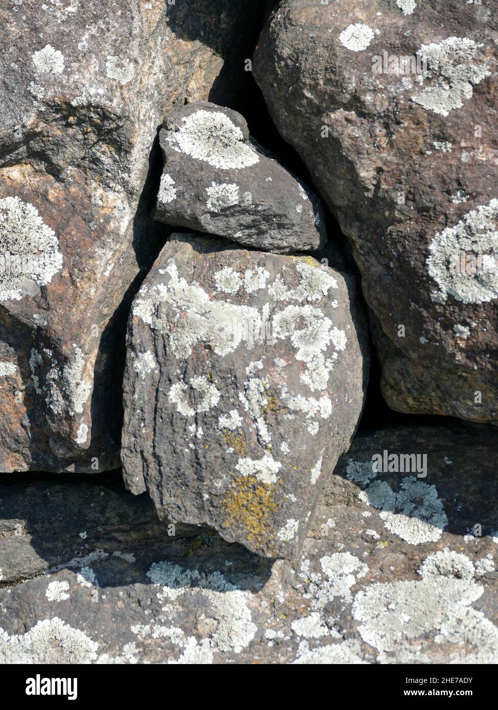 Close Up Photograph of Gray Rocks Growing Light Green Lichen Creating a ...