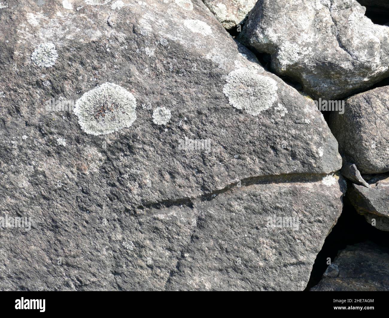 Close Up Photograph of Gray Rocks Growing Light Green Lichen Creating a ...