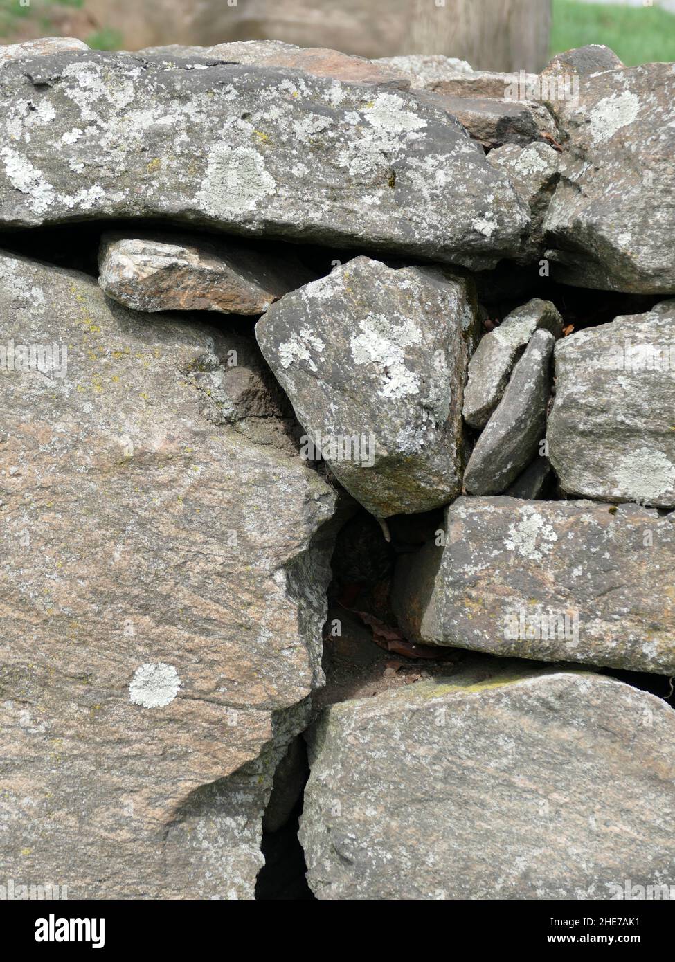 Close Up Photograph of Gray Rocks Growing Light Green Lichen Creating a ...