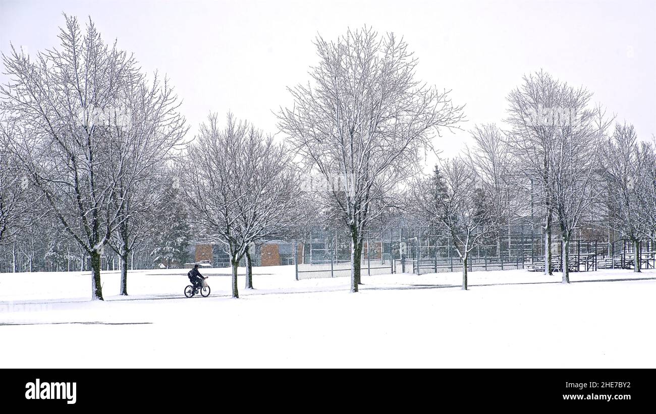 Tranquility scene of footpath with tree-lined in heavy snowfall, winter ...