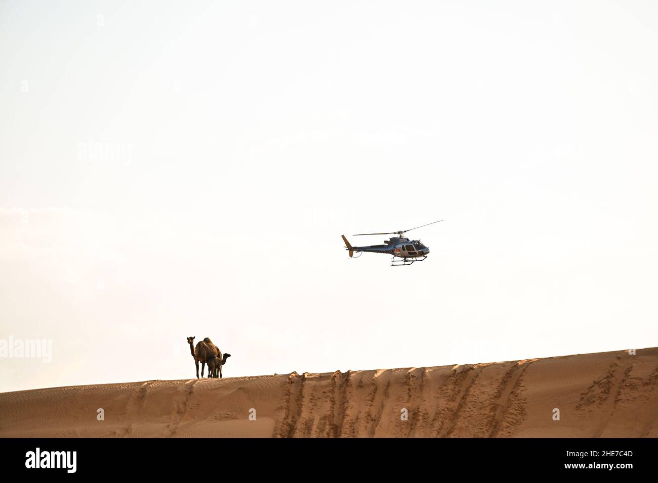 Ambience during the Stage 7 of the Dakar Rally 2022 between Riyadh and ...