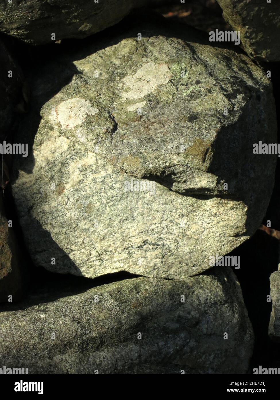 A Pile of Gray Rocks with Lichen Creates a Stone Wall Boundary among a ...