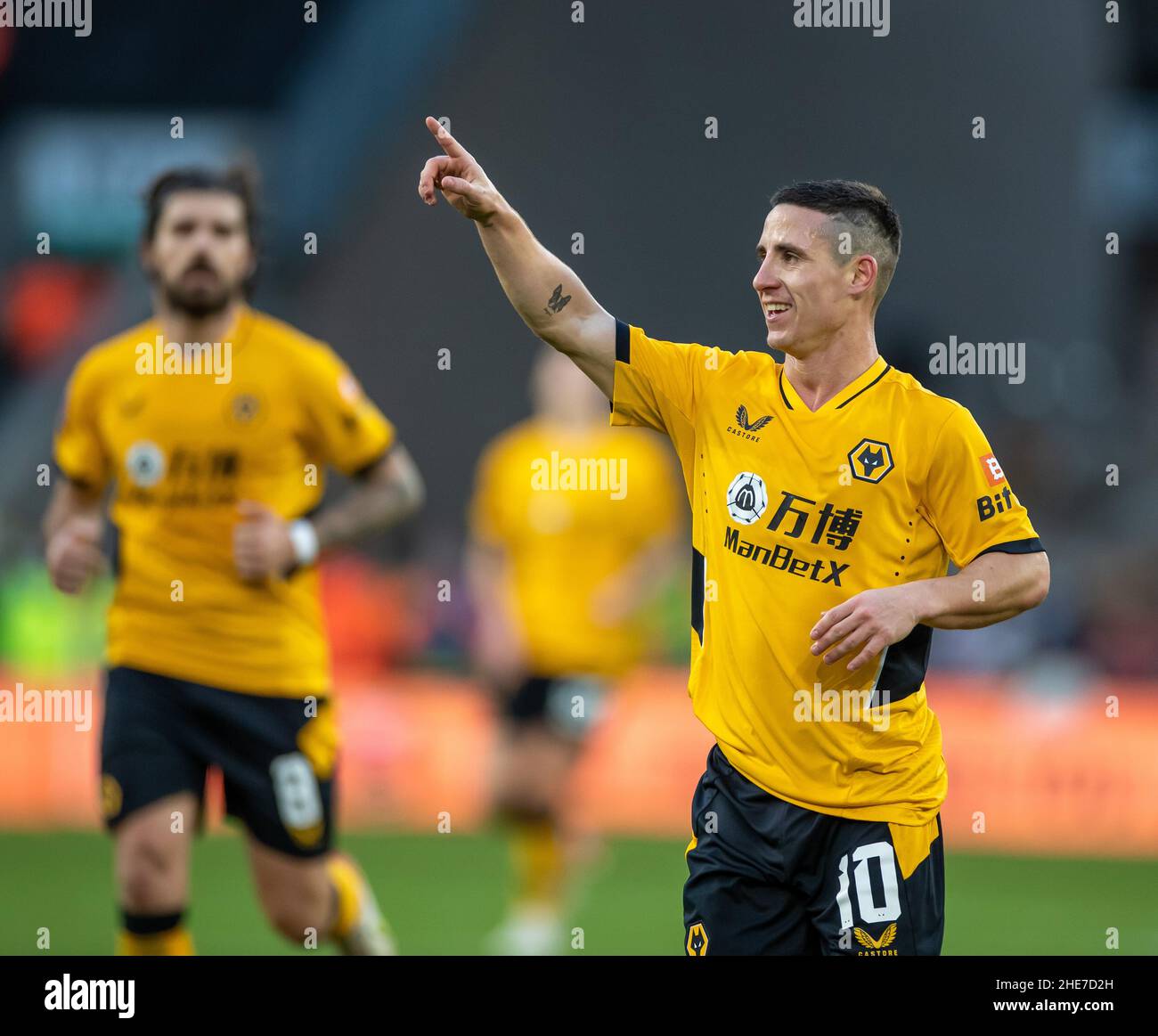 Podence wolves hi-res stock photography and images - Alamy