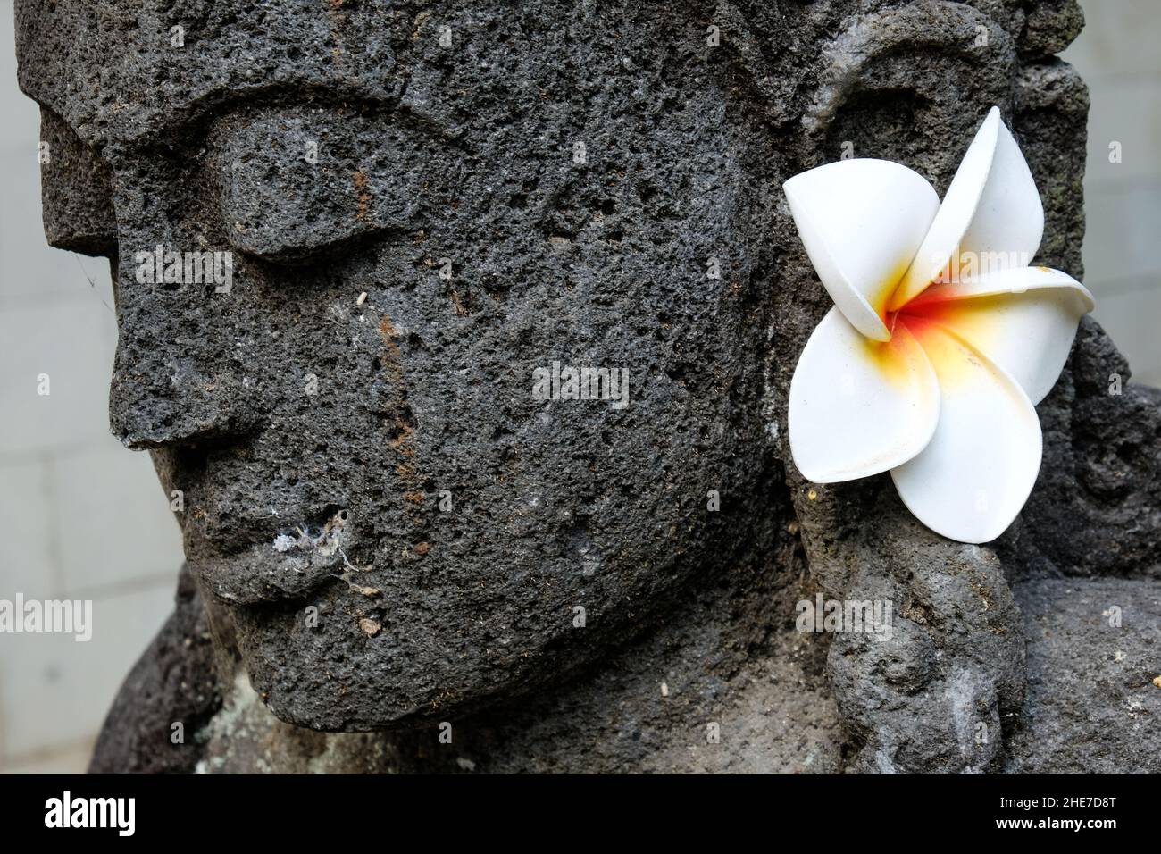Frangipani sculpture hi-res stock photography and images - Alamy