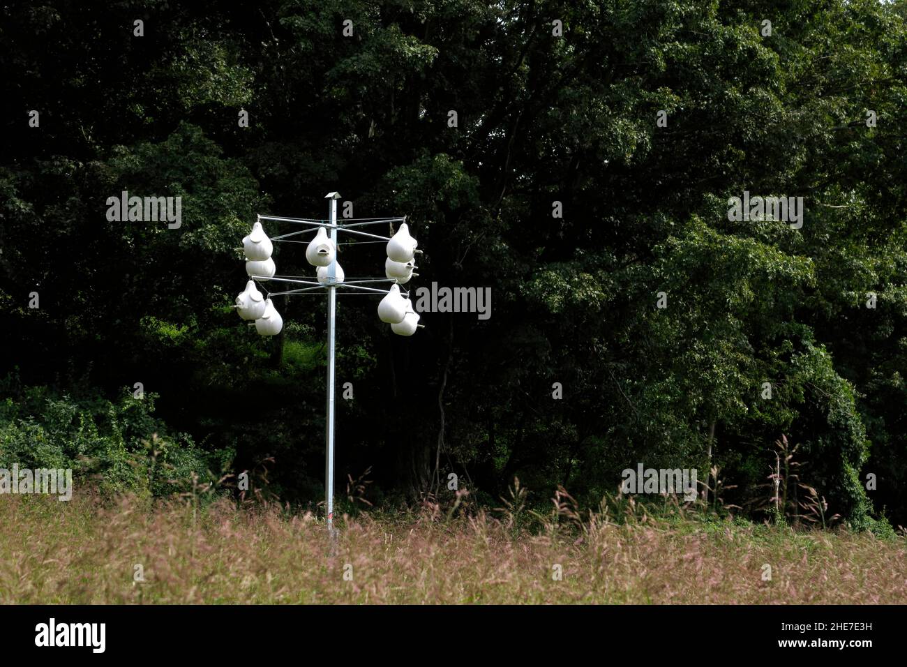 Purple Martin Gourd Rack System Bird Houses for Birds Stock Photo - Alamy