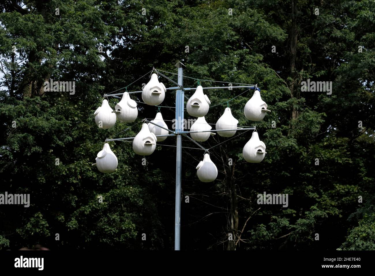 Purple Martin Gourd Rack System Bird Houses for Birds Stock Photo - Alamy