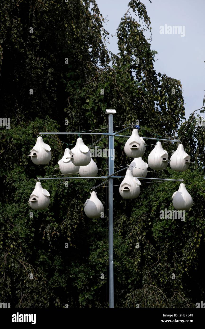 Purple Martin Gourd Rack System Bird Houses for Birds Stock Photo - Alamy