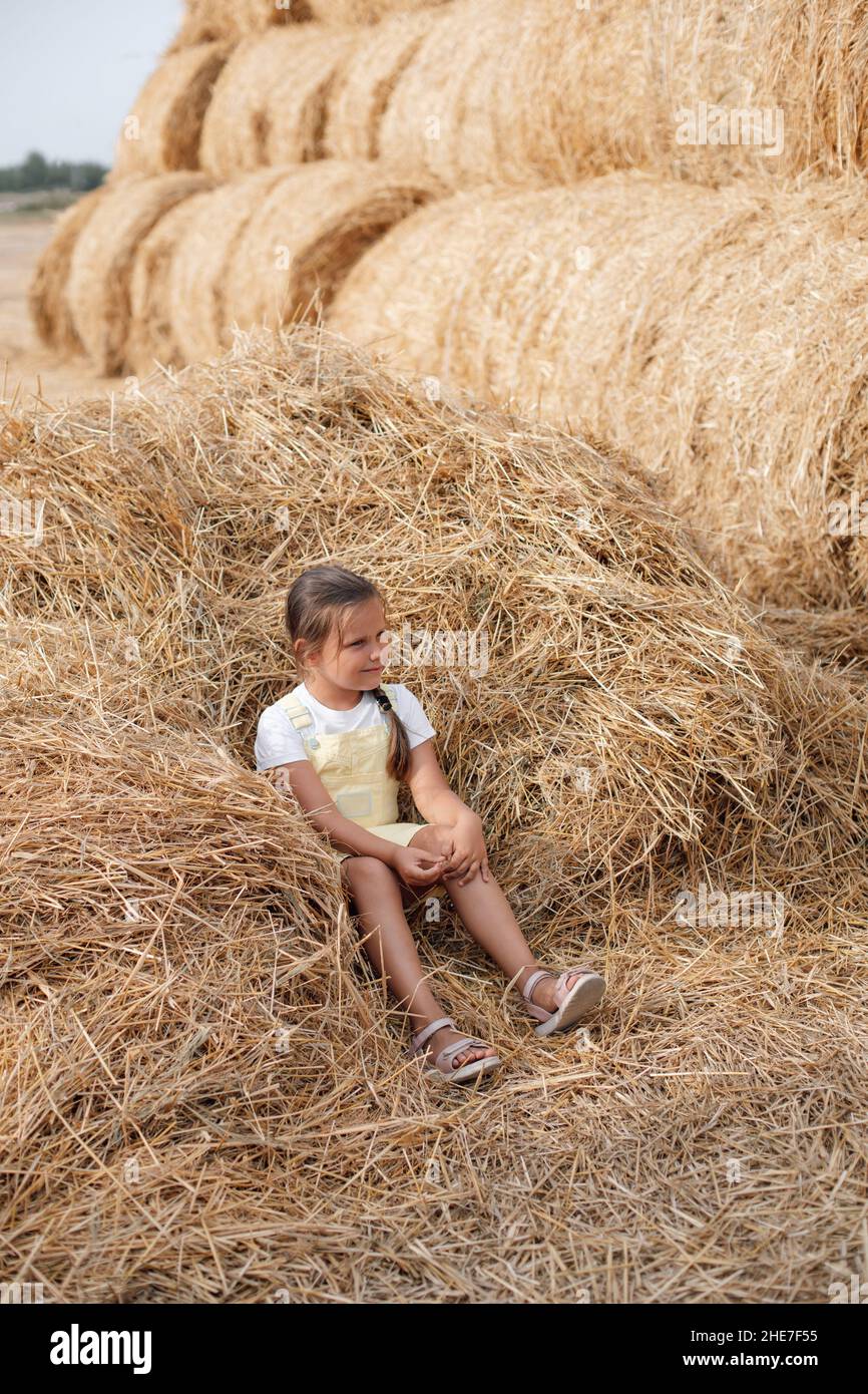 Pile of hay hi-res stock photography and images - Alamy