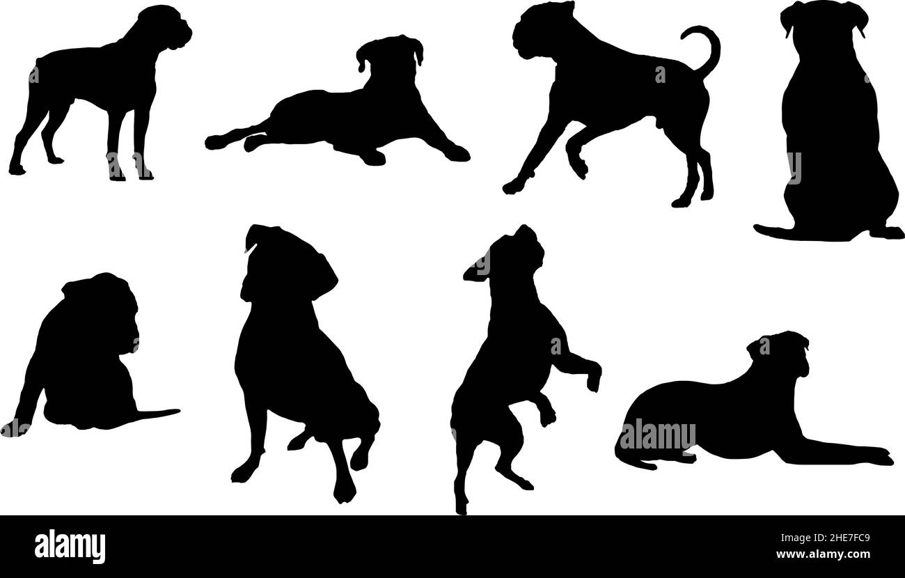 boxer dog silhouette bundle svg Stock Vector Image & Art - Alamy boxer dog silhouette bundle svg Stock Vector Image & Art - Alamy