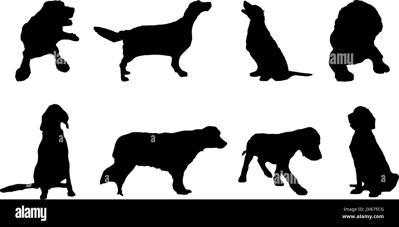 english setter dog silhouette bundle svg Stock Vector Image & Art - Alamy