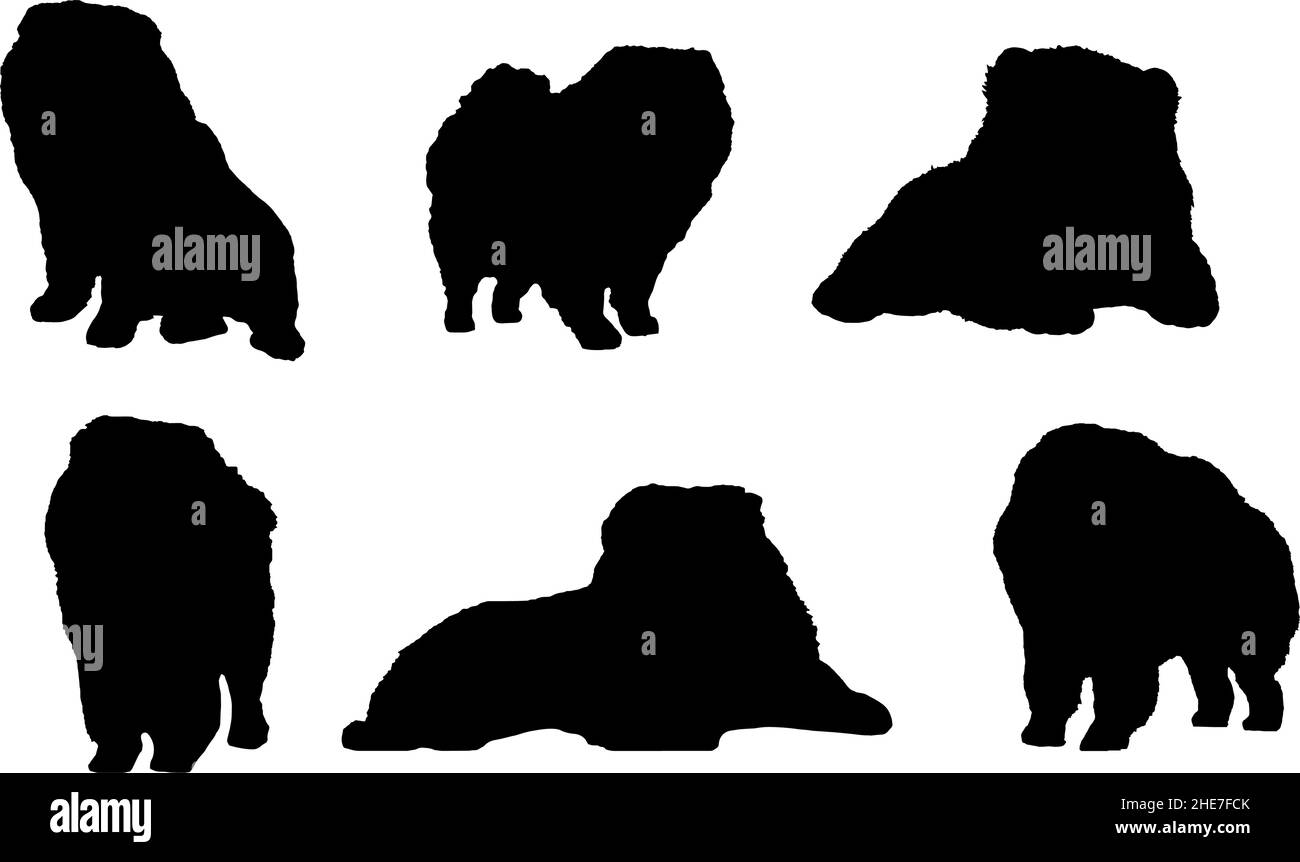 chow chow dog silhouette bundle svg Stock Vector Image & Art - Alamy chow chow dog silhouette bundle svg Stock Vector Image & Art - Alamy