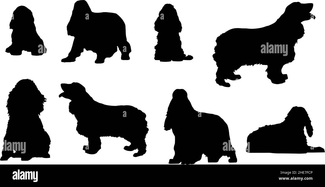 cocker spaniel dog silhouette bundle svg Stock Vector Image & Art - Alamy