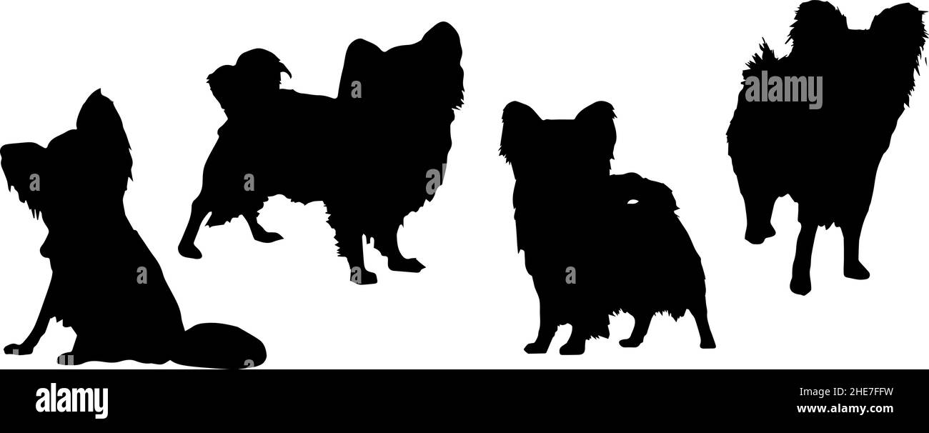 Papillon silhouette Stock Vector Images - Alamy