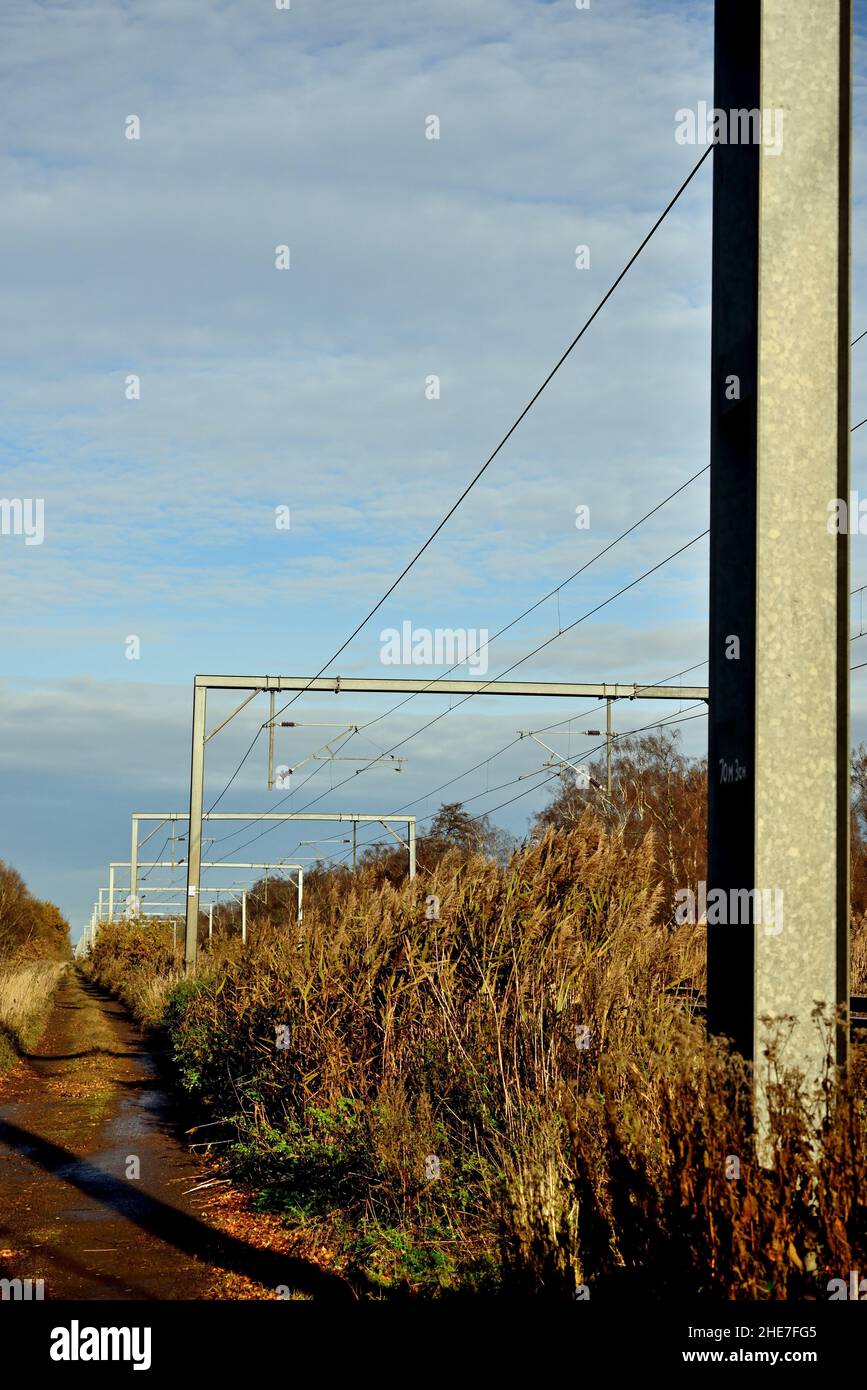 Overhead live wires along the East Coast railway line. (Seen from a ...