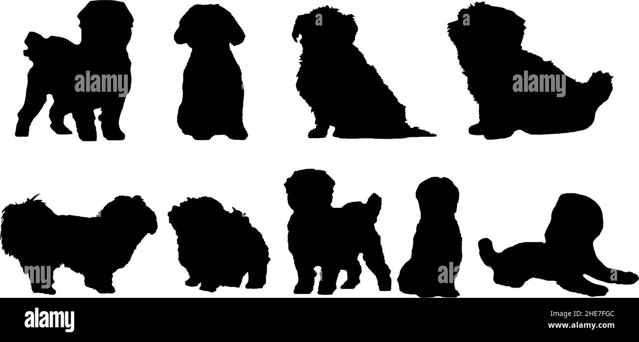 vector isolated maltese dog silhouette bundle eps Stock Vector Image ...