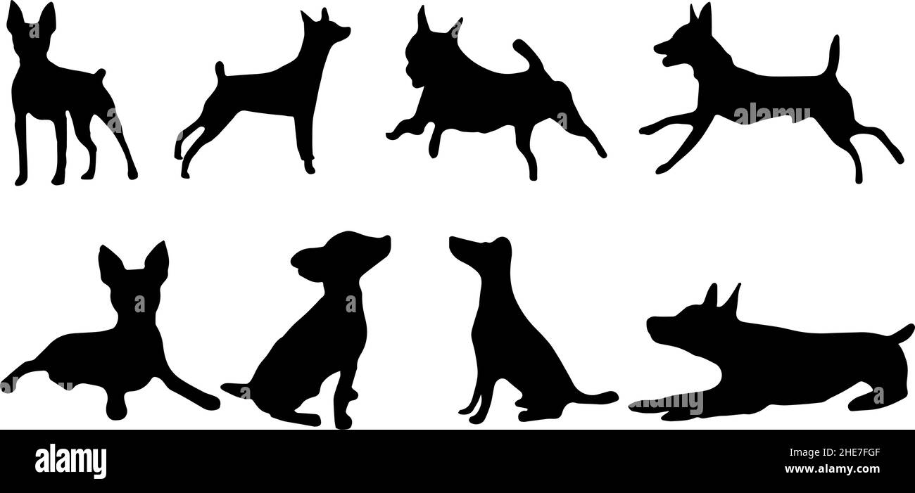 Fox terrier illustration Stock Vector Images - Alamy