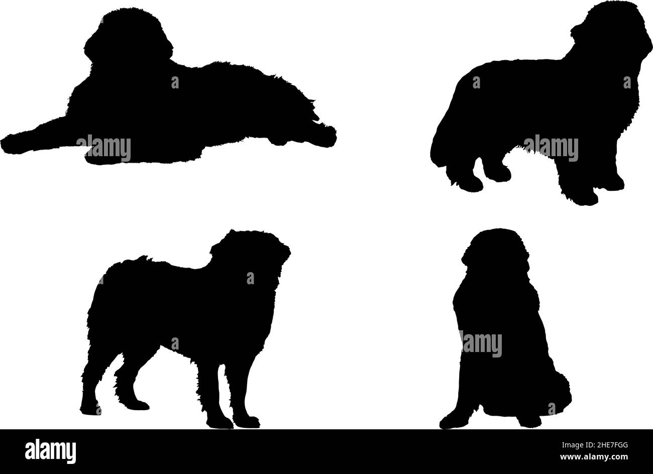 newfoundland dog silhouette bundle svg Stock Vector Image & Art - Alamy