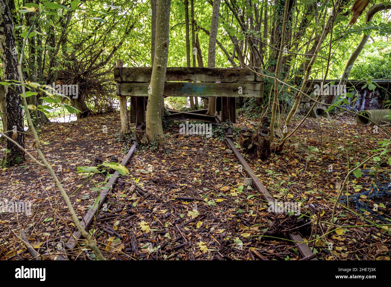 Overgrown rails of a disused railway line Stock Photo - Alamy
