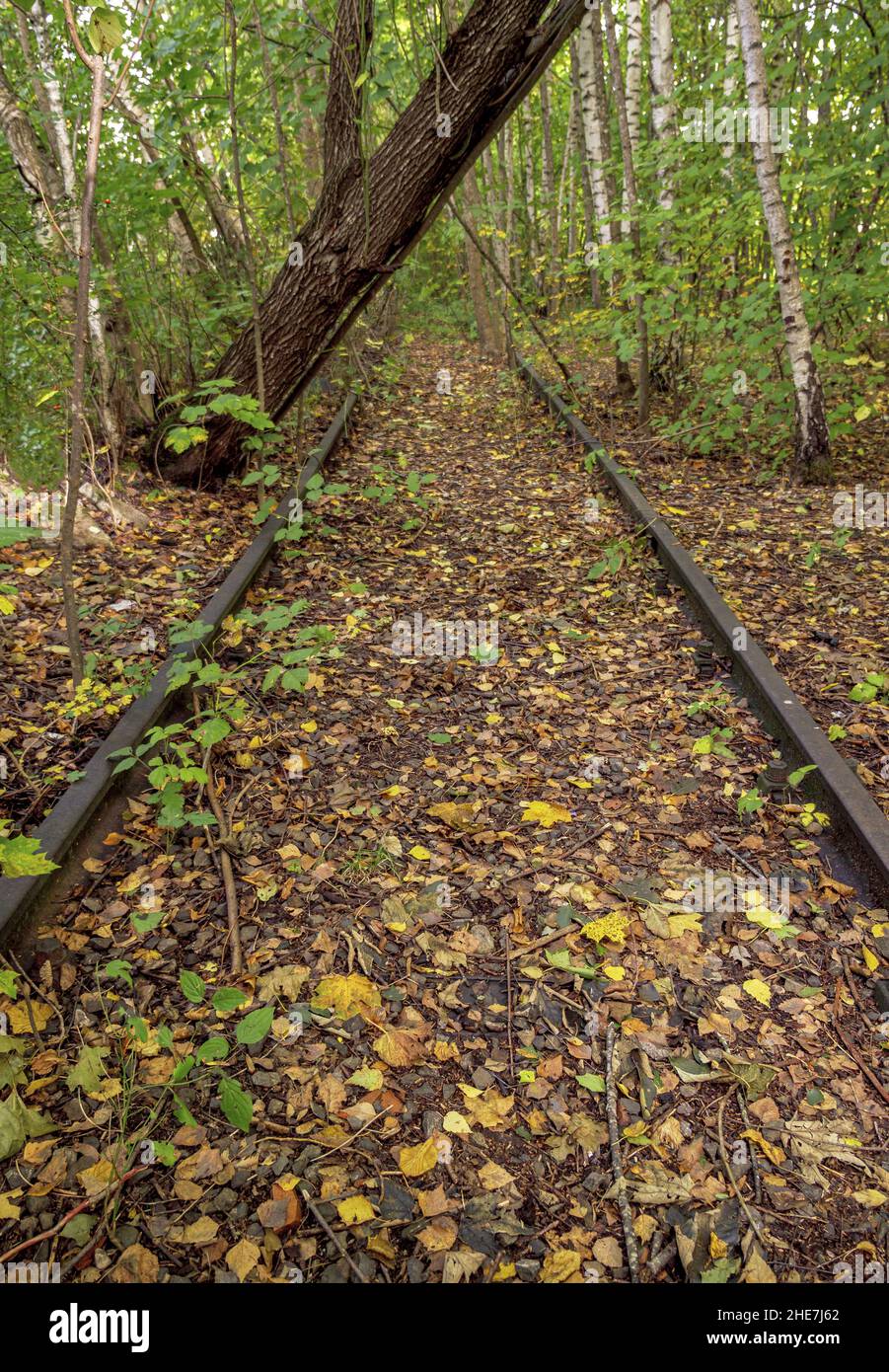 Overgrown rails of a disused railway line Stock Photo - Alamy