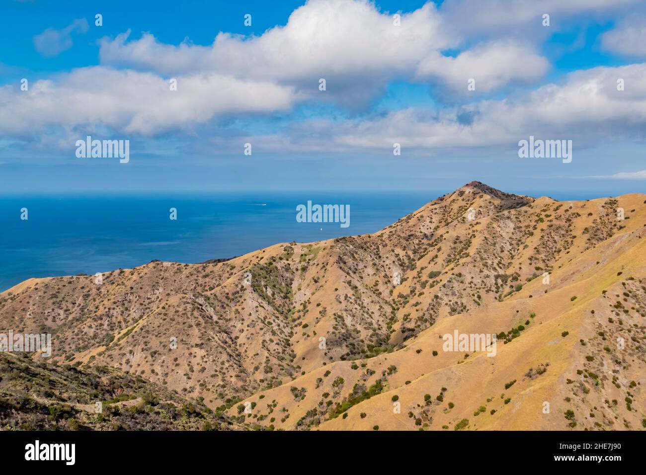 Mountain landscape of Catalina Island at California Stock Photo - Alamy