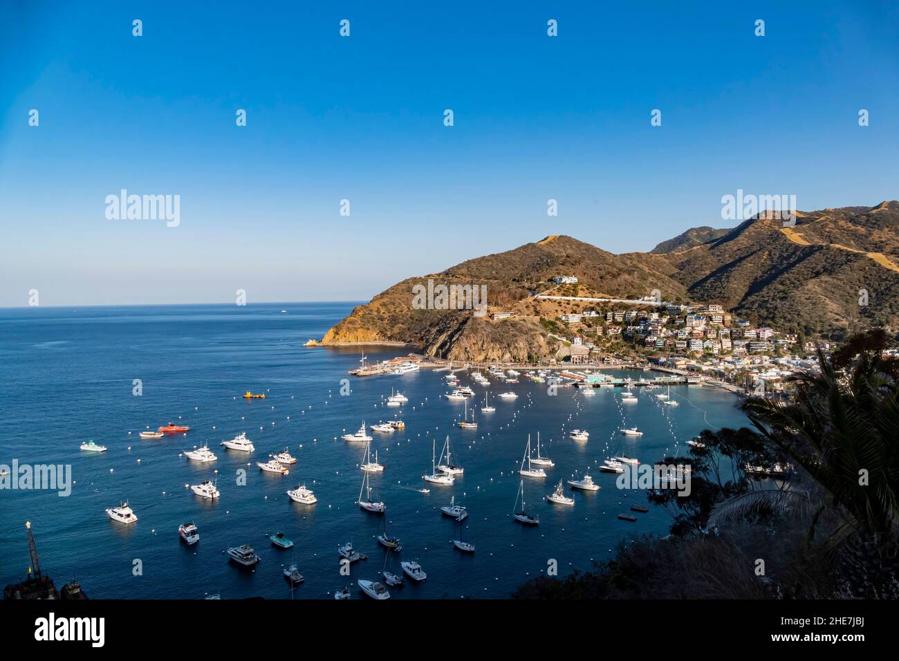 Sunny high angle view of the beautiful Avalon city of Catalina Island ...