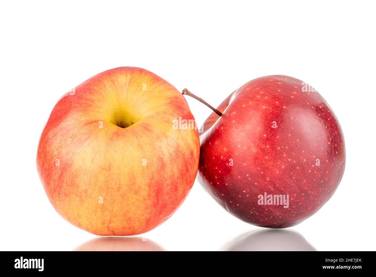 Two organic sweet red apples, close-up, isolated on white Stock Photo ...