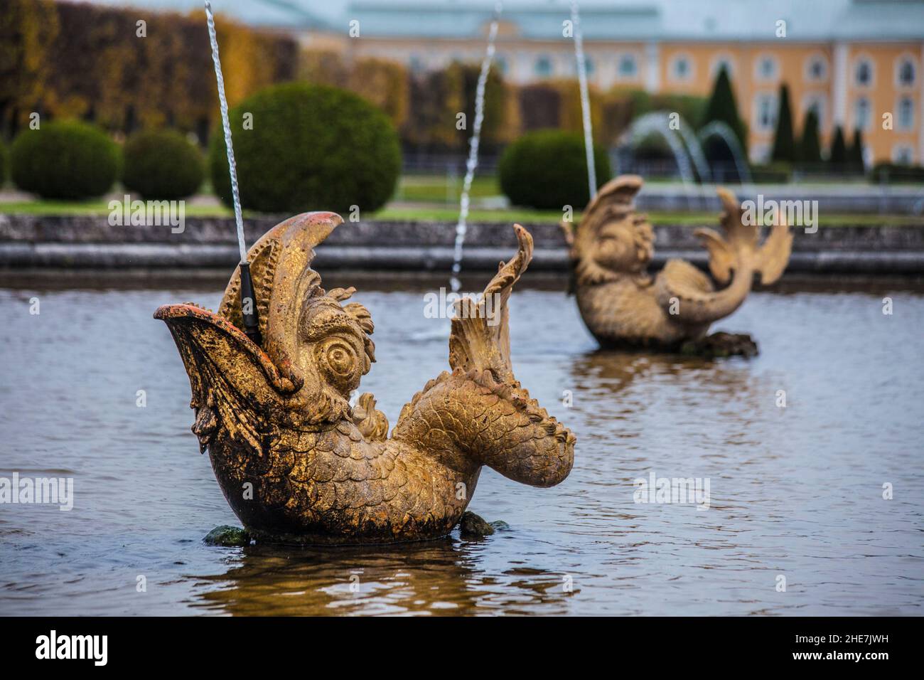 The tsar fish hi-res stock photography and images - Alamy