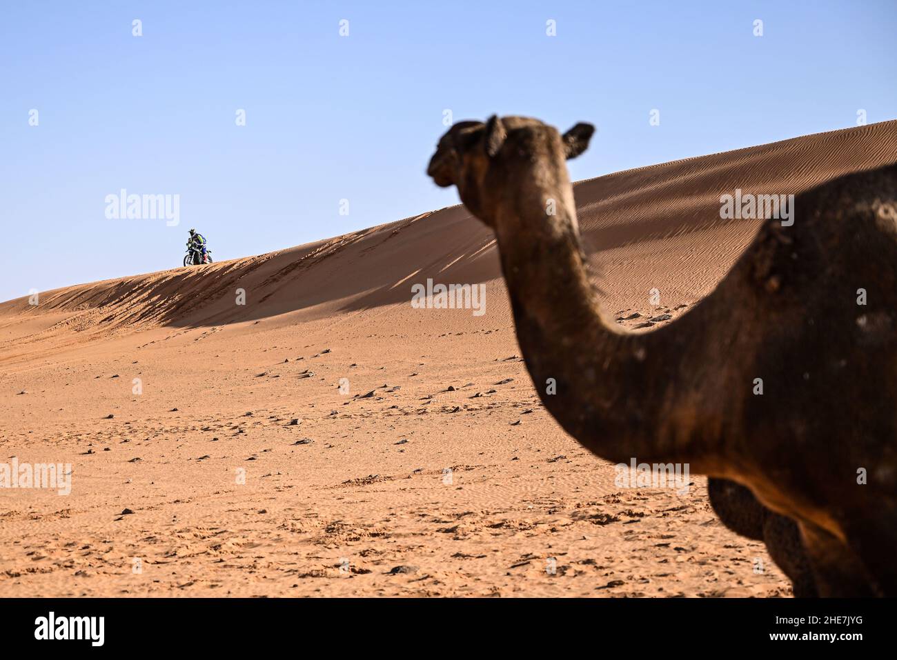 Ambience during the Stage 7 of the Dakar Rally 2022 between Riyadh and ...