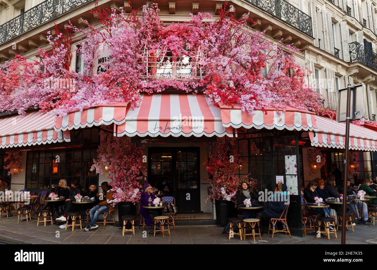 The traditional French cafe Favorite decorated for Christmas 2021 . It ...