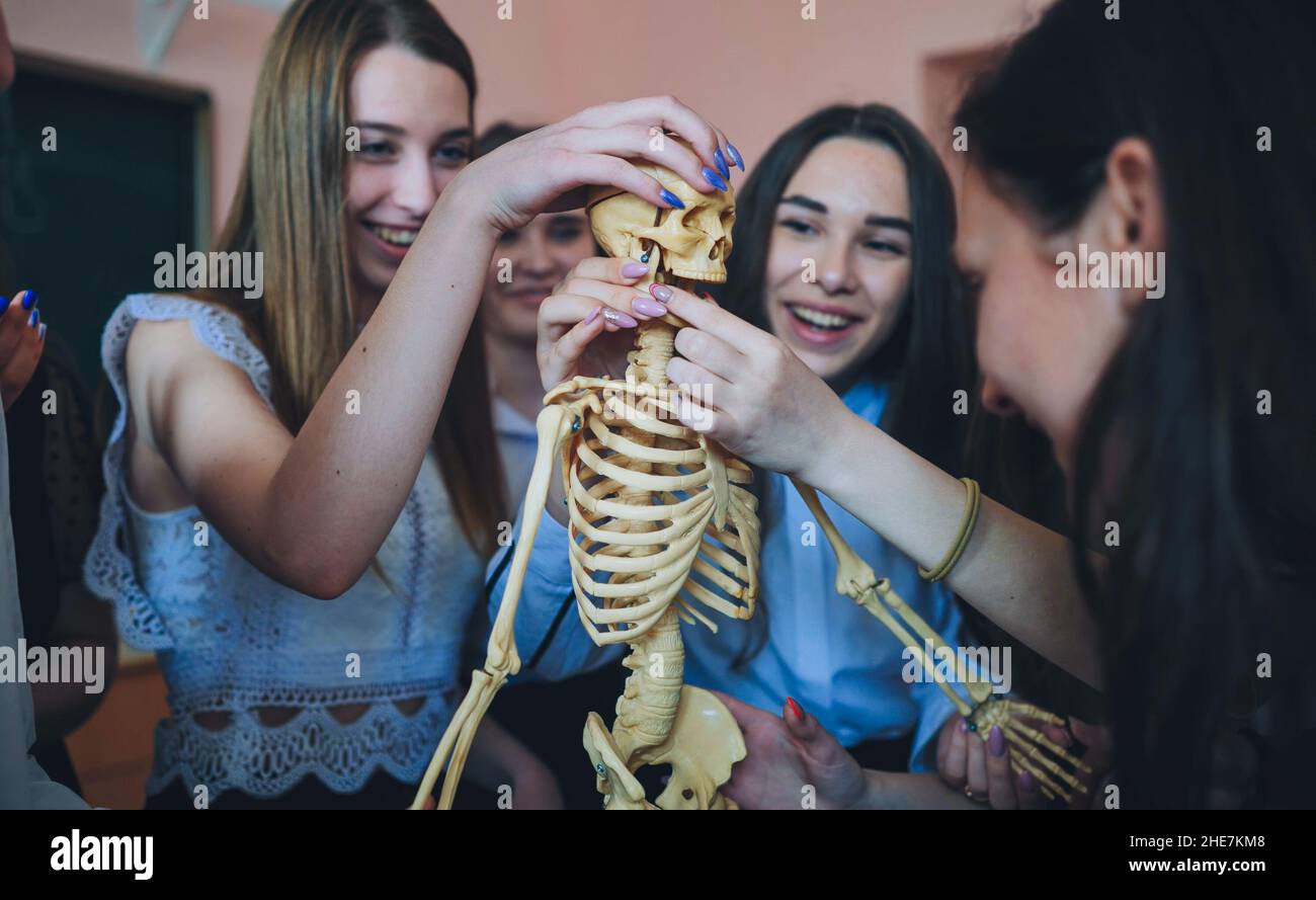 Cheerful students examine the human skeleton in the classroom Stock ...