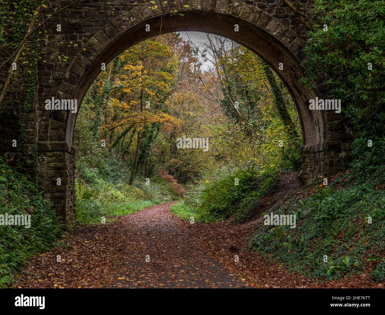 Single arched stone bridge hi-res stock photography and images - Alamy