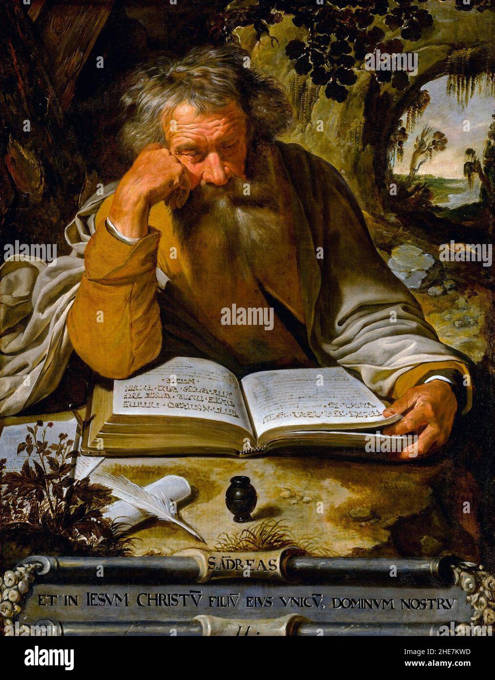 St Andrew - Artus Wolffort Stock Photo - Alamy