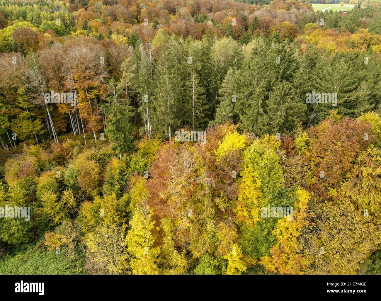 Shot bavarian forest high hi-res stock photography and images - Alamy