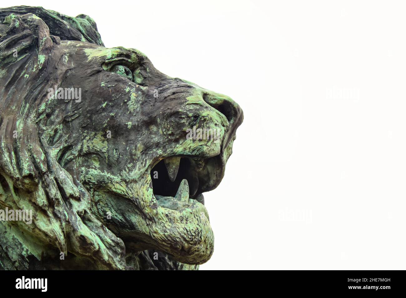 Roaring Lion Head Side View