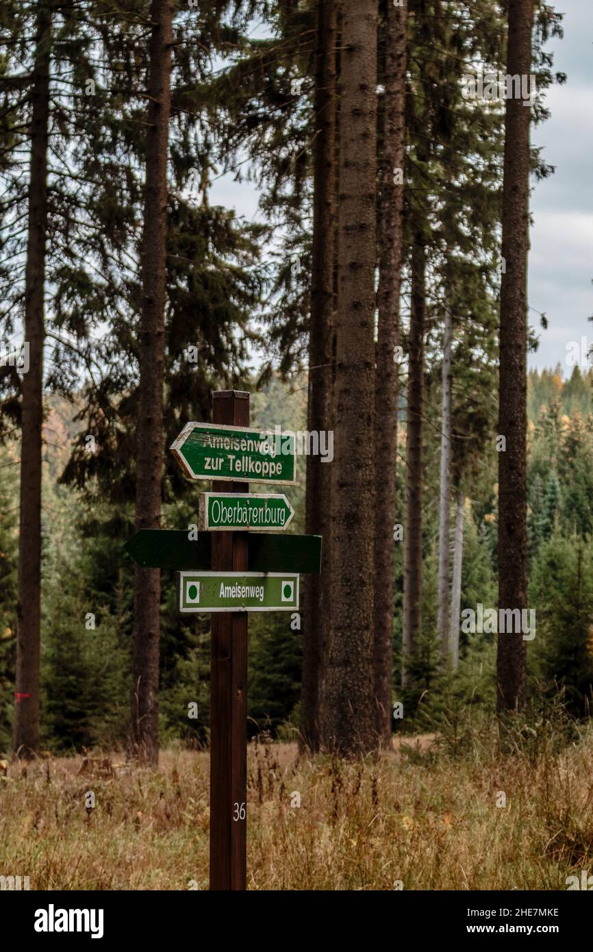 Sign post on a hiking trail in a german forest Stock Photo - Alamy