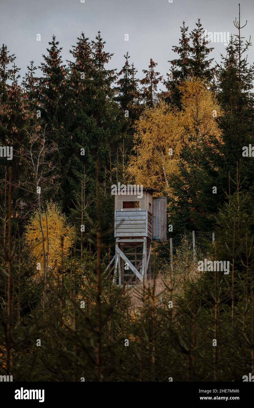 Nature november october outdoor scene view wooden trunk branch hi-res ...