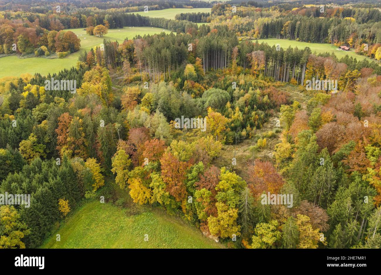Shot bavarian forest high hi-res stock photography and images - Alamy