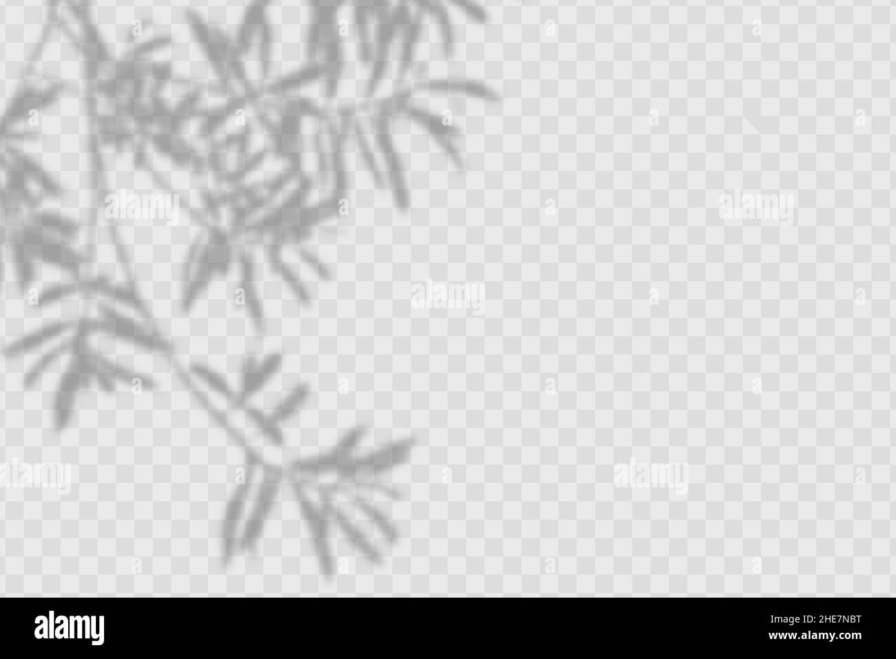 Transparent natural plant shadows Black and White Stock Photos & Images ...