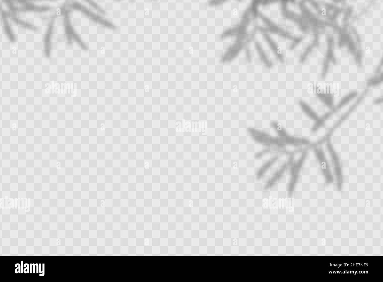 Transparent natural plant shadows Black and White Stock Photos & Images ...