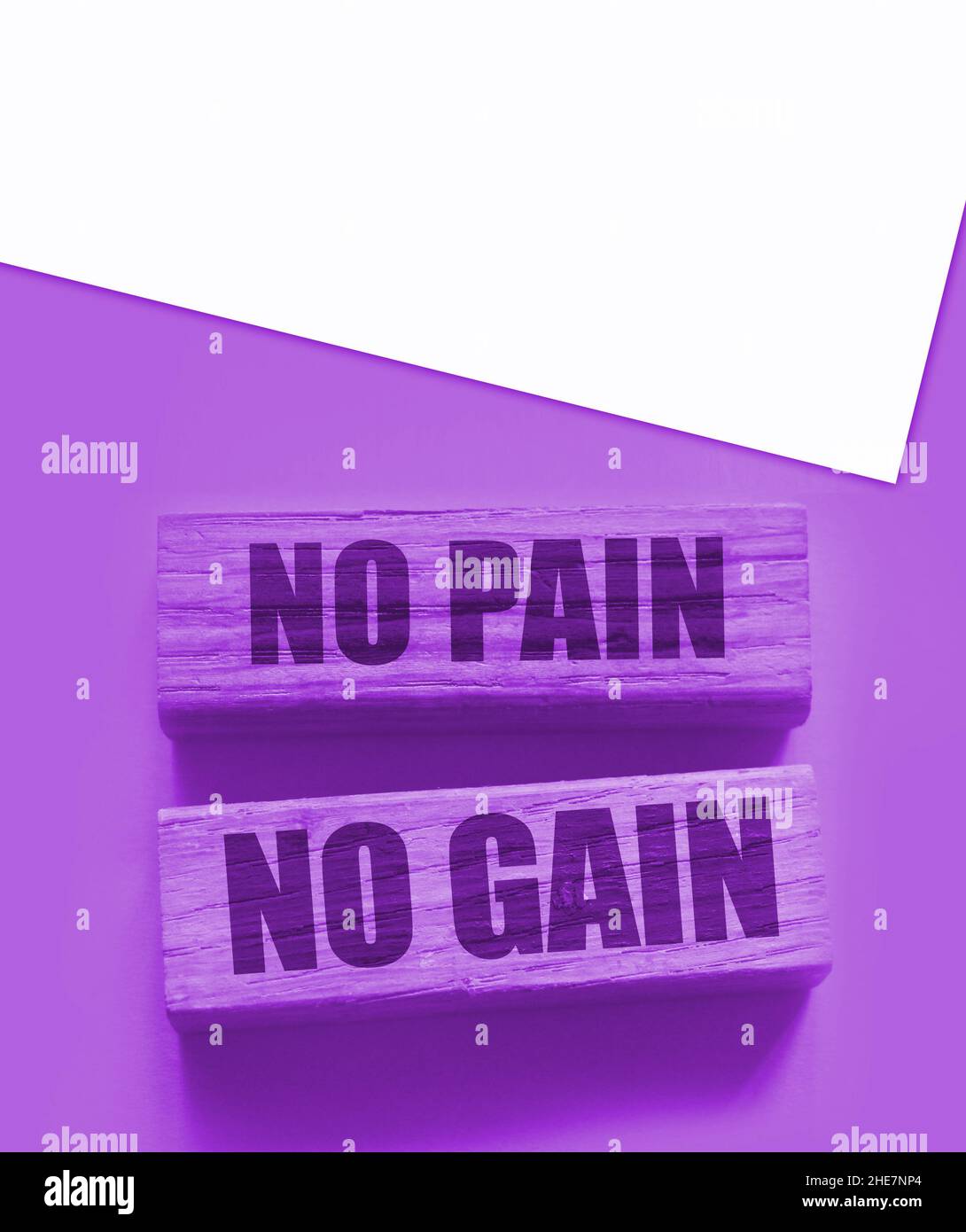 No Pain No Gain message written with wooden blocks on yellow. Business ...