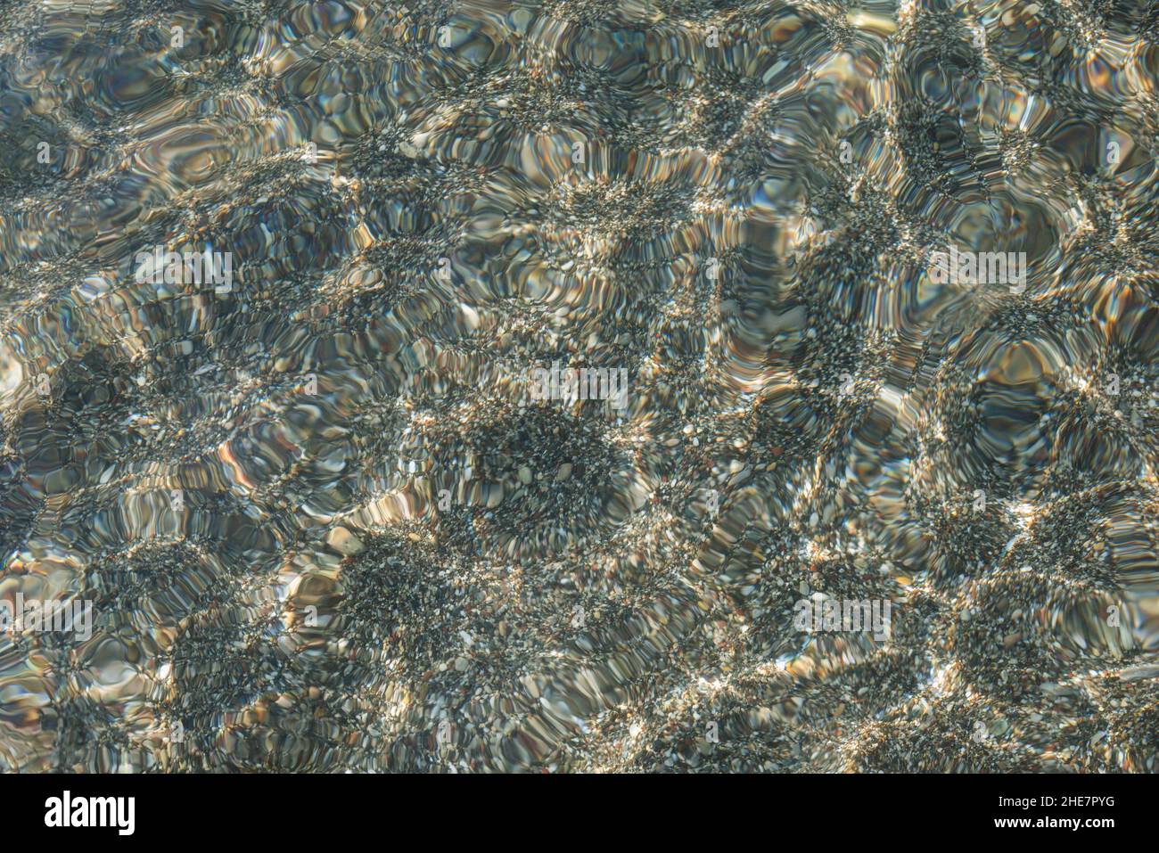 Seabad under water background Stock Photo - Alamy
