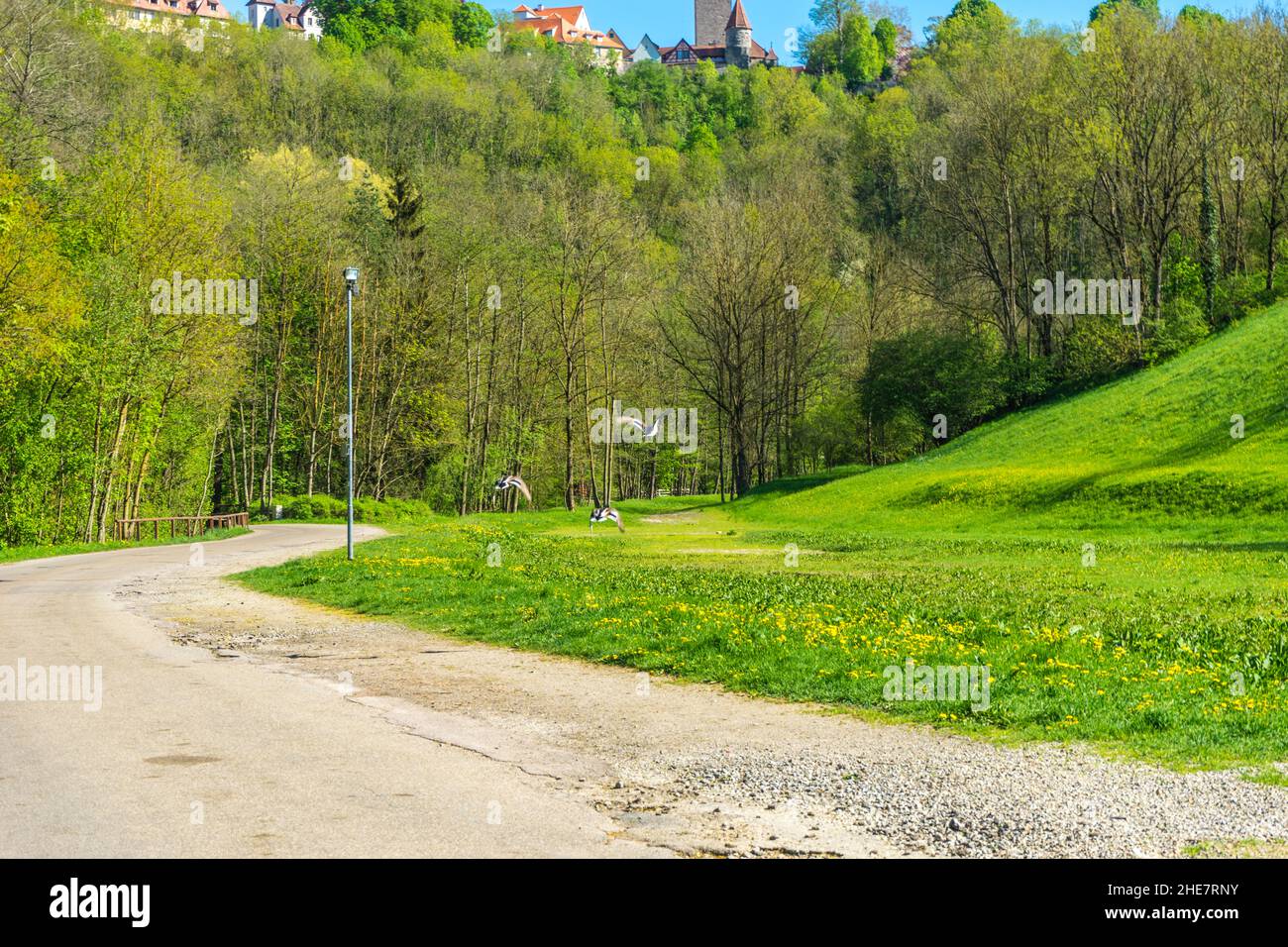 Closeup park near city hi-res stock photography and images - Alamy